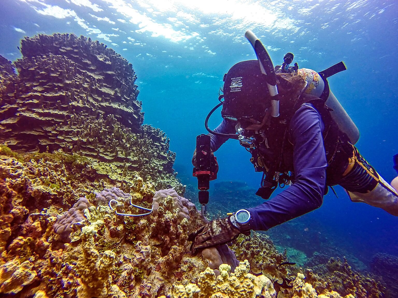Cordless Tools For Underwater Construction Which Ones Make The Cut cordless-tools-for-underwater-construction-which-ones-make-the-cut